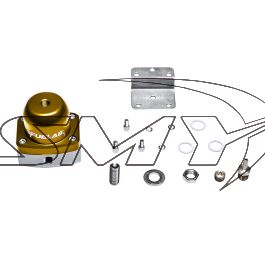 51502-5 Fuelab 515 Series Fuel Pressure Regulator - Gold for only $223. ...