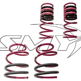 ST20330VV-D JDM STI Lowering Springs Subaru 2018-2021 STI for only $510.00